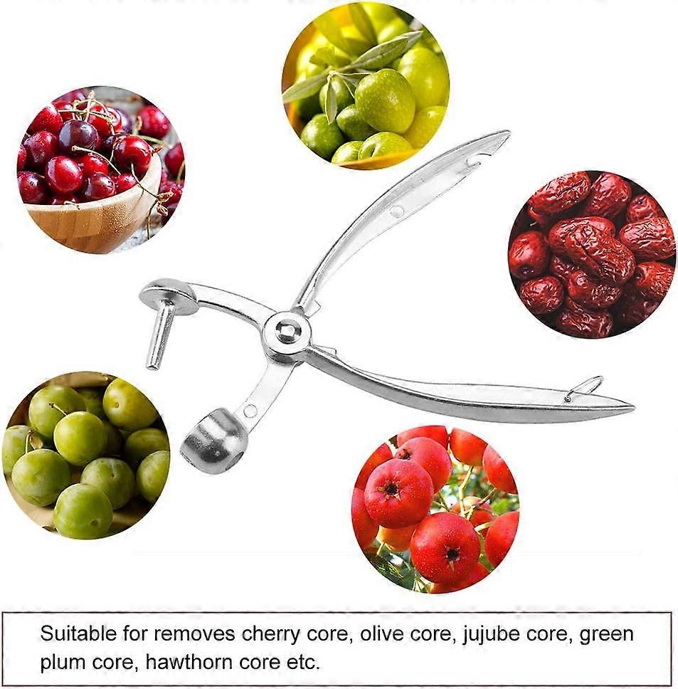 QQDD Cherry Pitter,Cherry Stoner,Cherry Stone Remover,Cherry Stoner ...