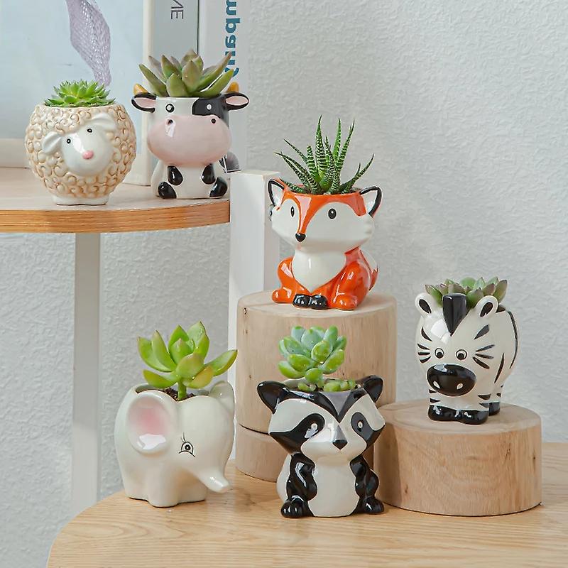 Cartoon Flower Pot Simplicity Cute Cartoon Succulent Flower Pot ...