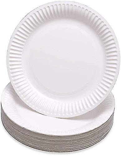 Premium Quality Large Disposable Party Paper Plates 100 Pack 23cm ...