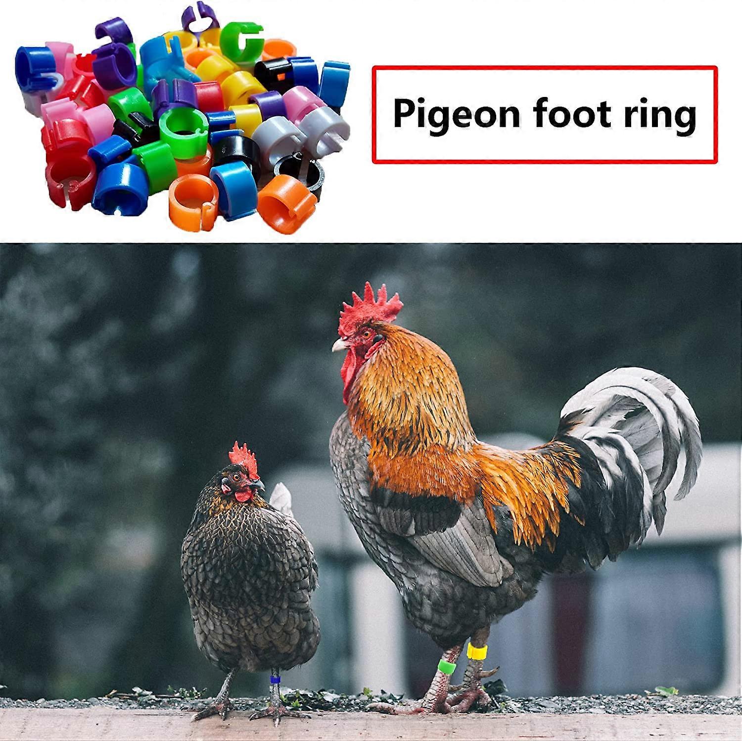 100pcs 10mm Poultry Clamp Rings Leg Rings ,10 Colors | Fruugo UK