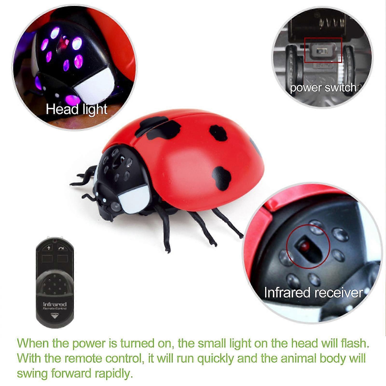 Horrible Infrared Cockroach Remote Control Simulation Roach Spider Toy ...