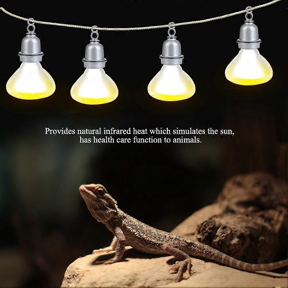 220-230V Night Heat Light Lamp Bulb for Bird Snake Reptile Pet ...