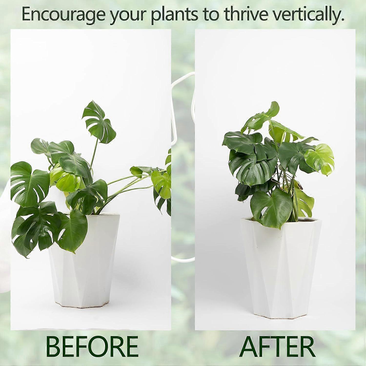 Monstera Stem Support - 5 Pieces Durable Plant Support System for ...