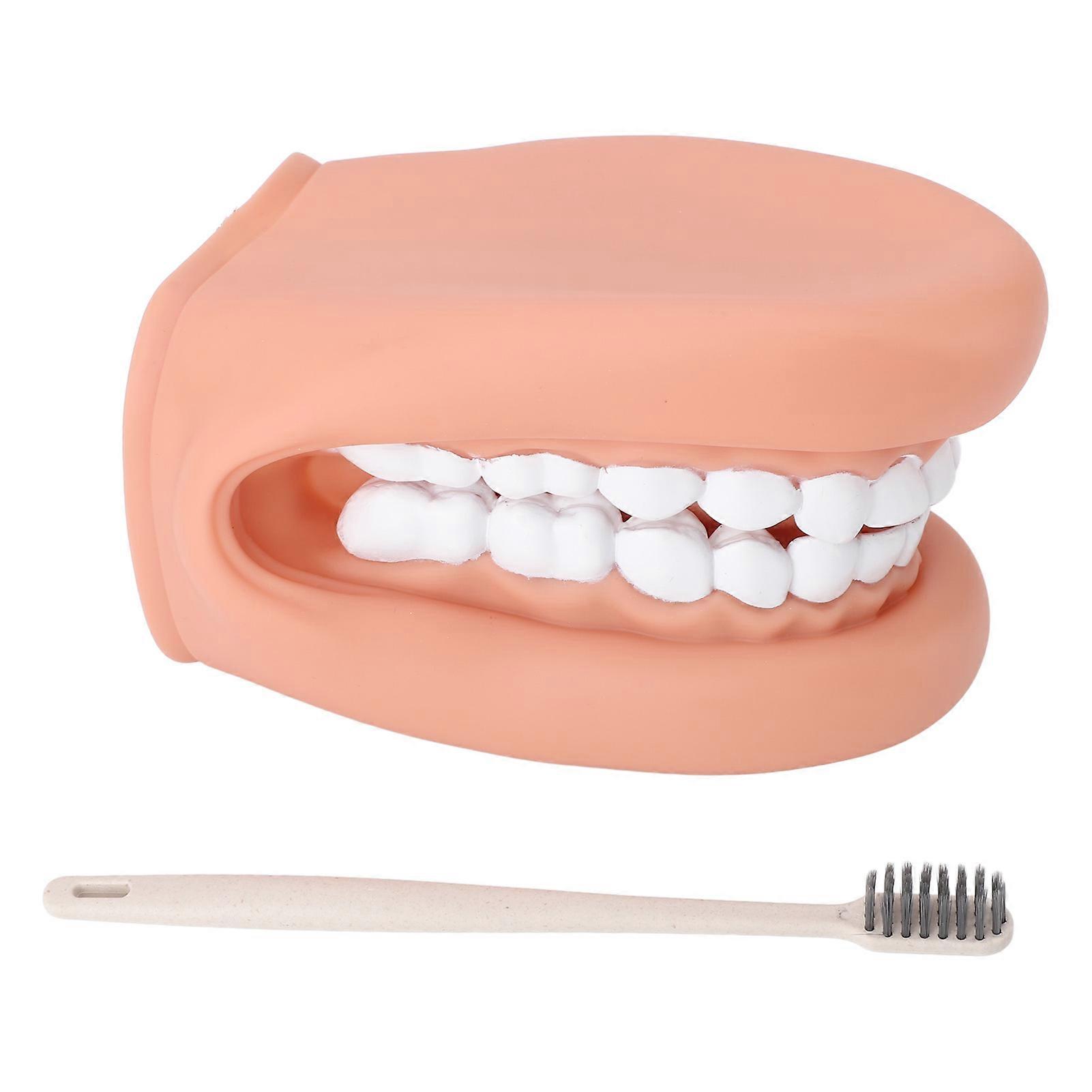 28 Teeth Mouth Hand Puppet with Tongue for Kids Speech Training ...