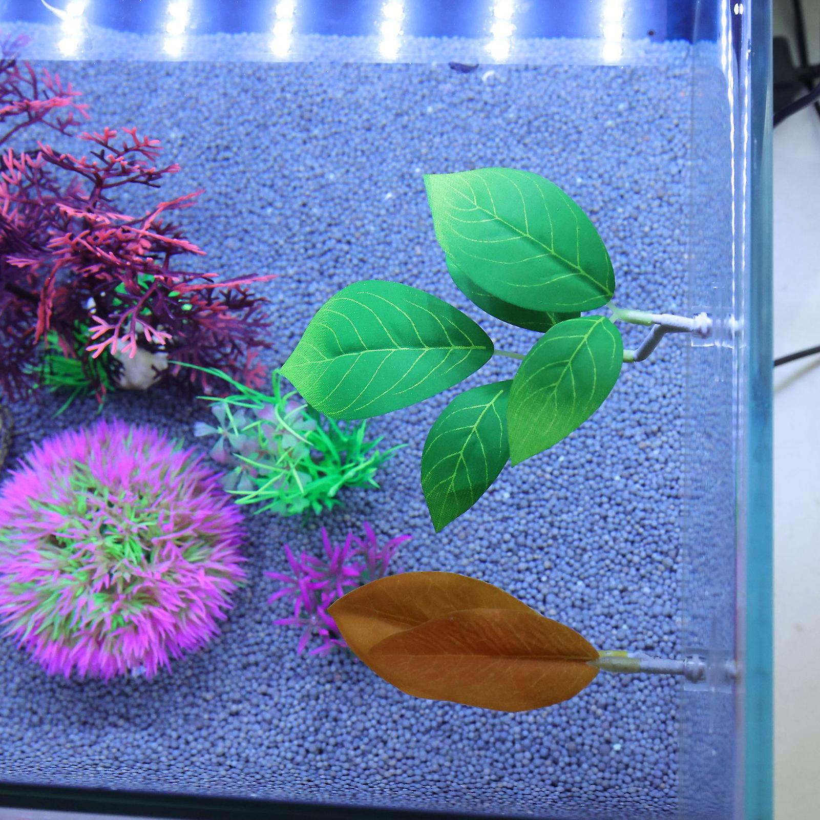 Fish Tank Aquatic Plants Fighting Fish Resting Leaf High Simulation ...