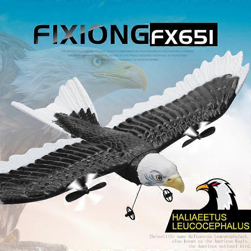 FX651 RC Plane Eagle Airplane Wingspan Glider 2.4G Radio Remote Control ...