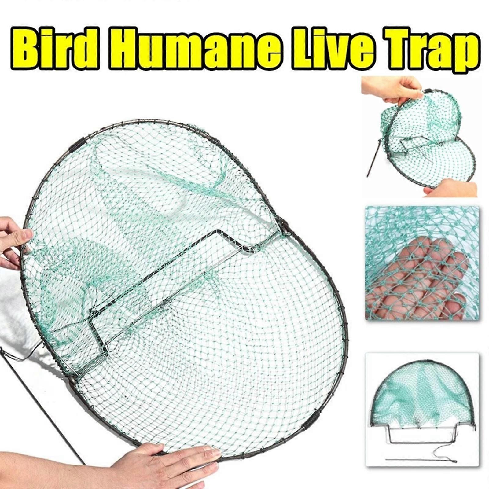 Bird Trap Net Cage for Pigeons & Sparrows - Humane Live Animal Catcher ...