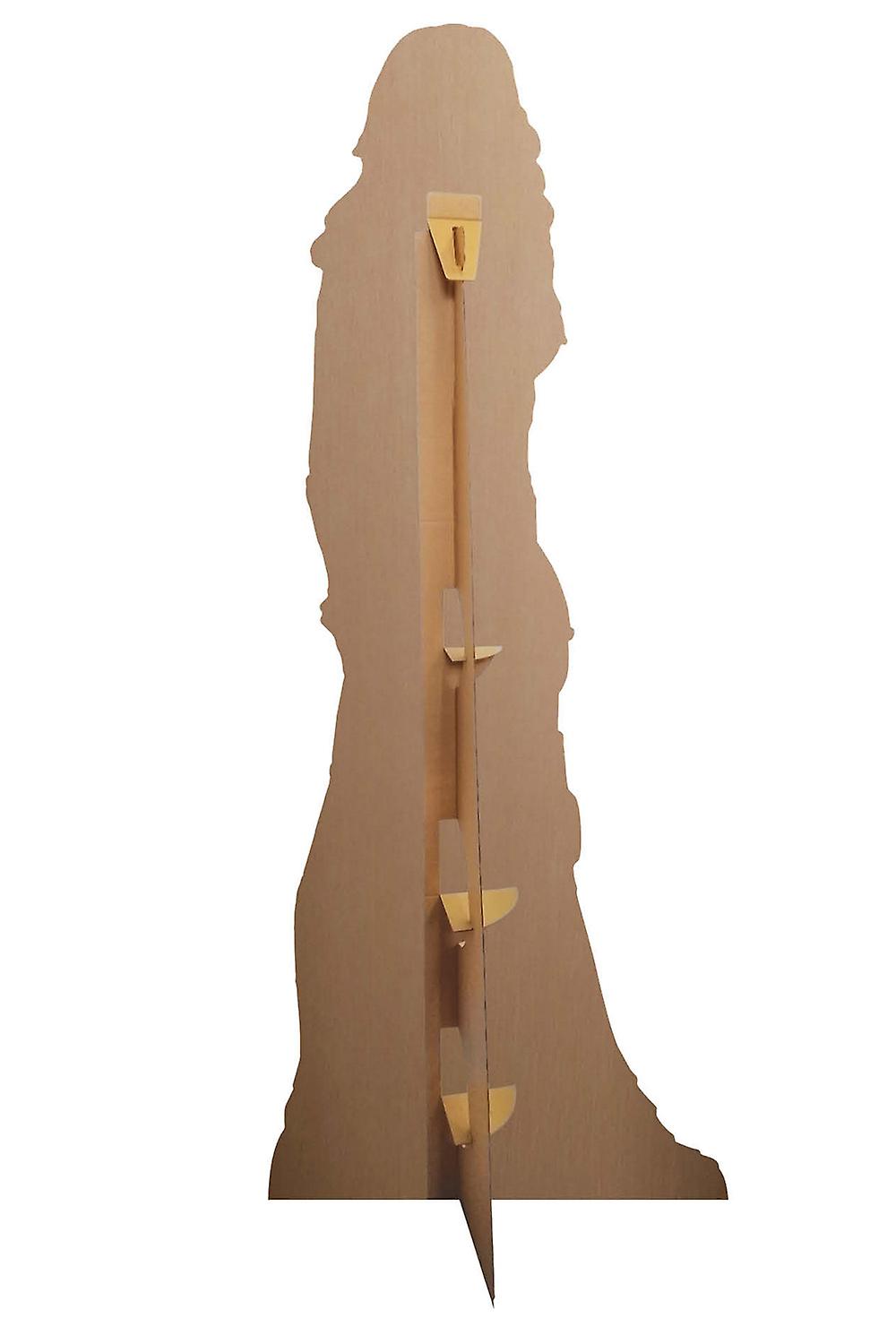 Wonder Woman 1984 (WW84) Lifesize Cardboard Cutout / Standee / Standup ...