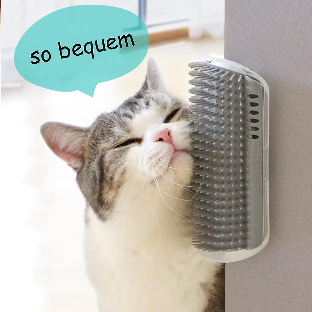 Cat Brush, Cat Massage And Hair Removal, With Catnip, For Massage ...