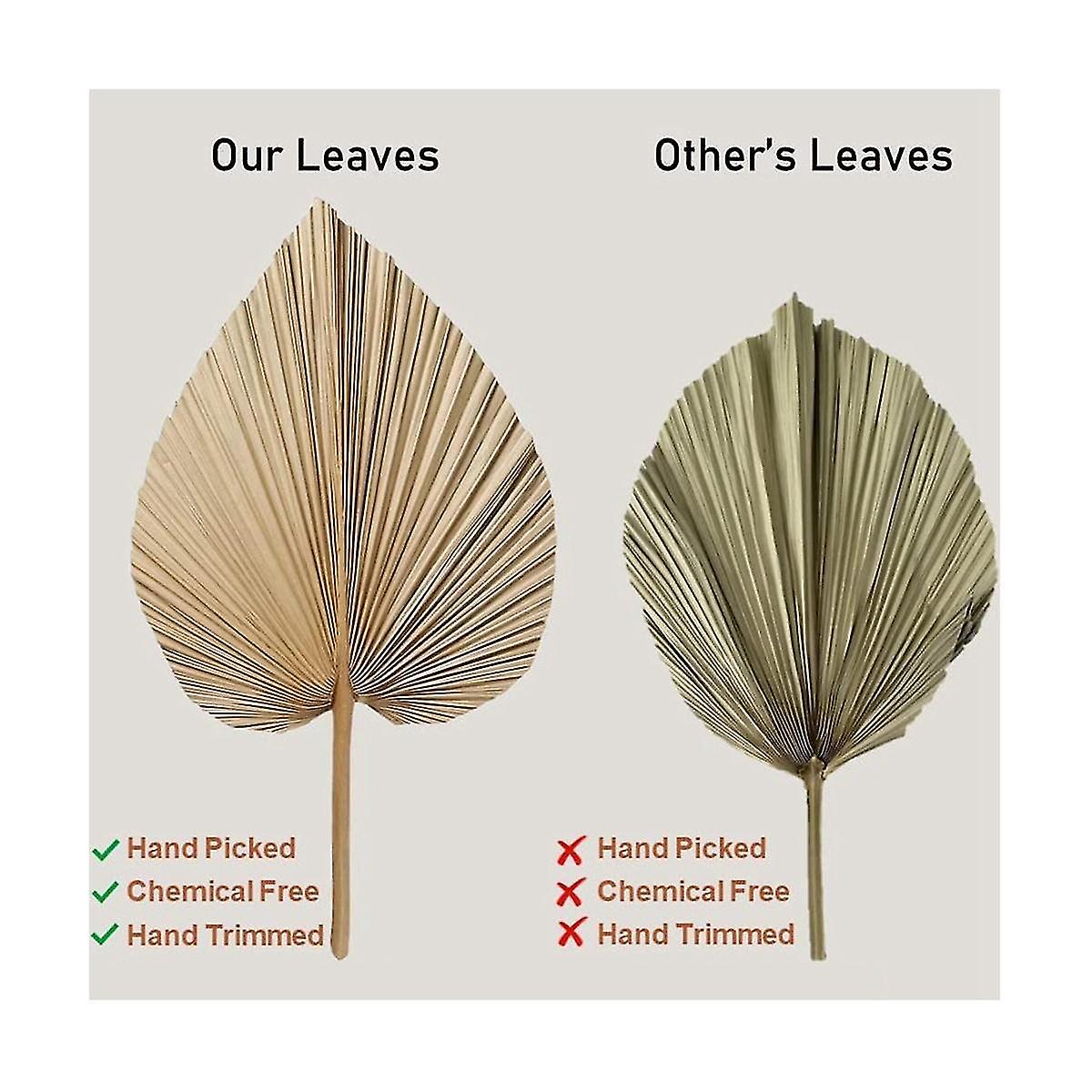 4 Pieces Natural Dried Palm Leaves Are Perfect for Palm Leaf Decor ...