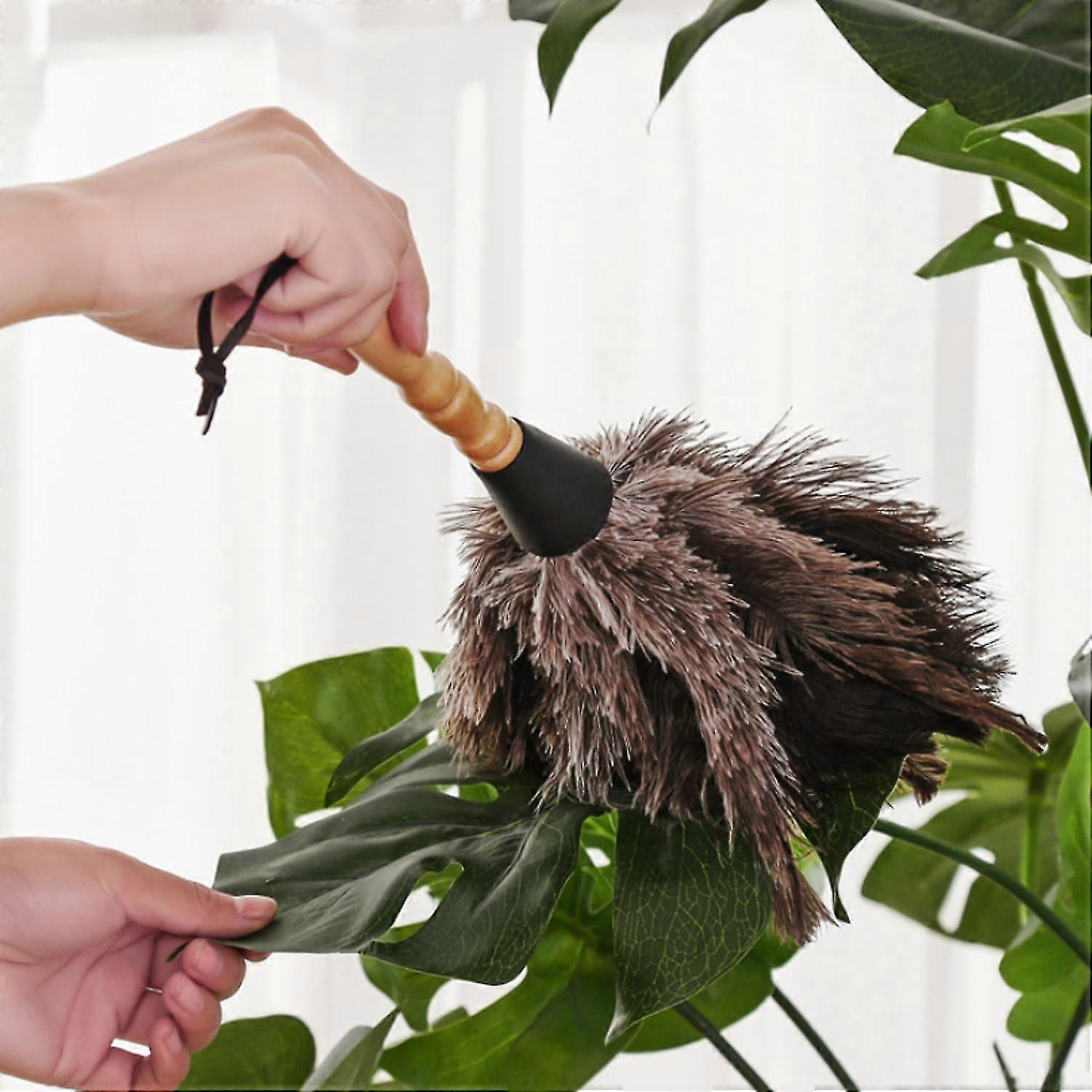 Feather Duster Anti-static Washable Recyclable Cleaning Ostrich Hair ...