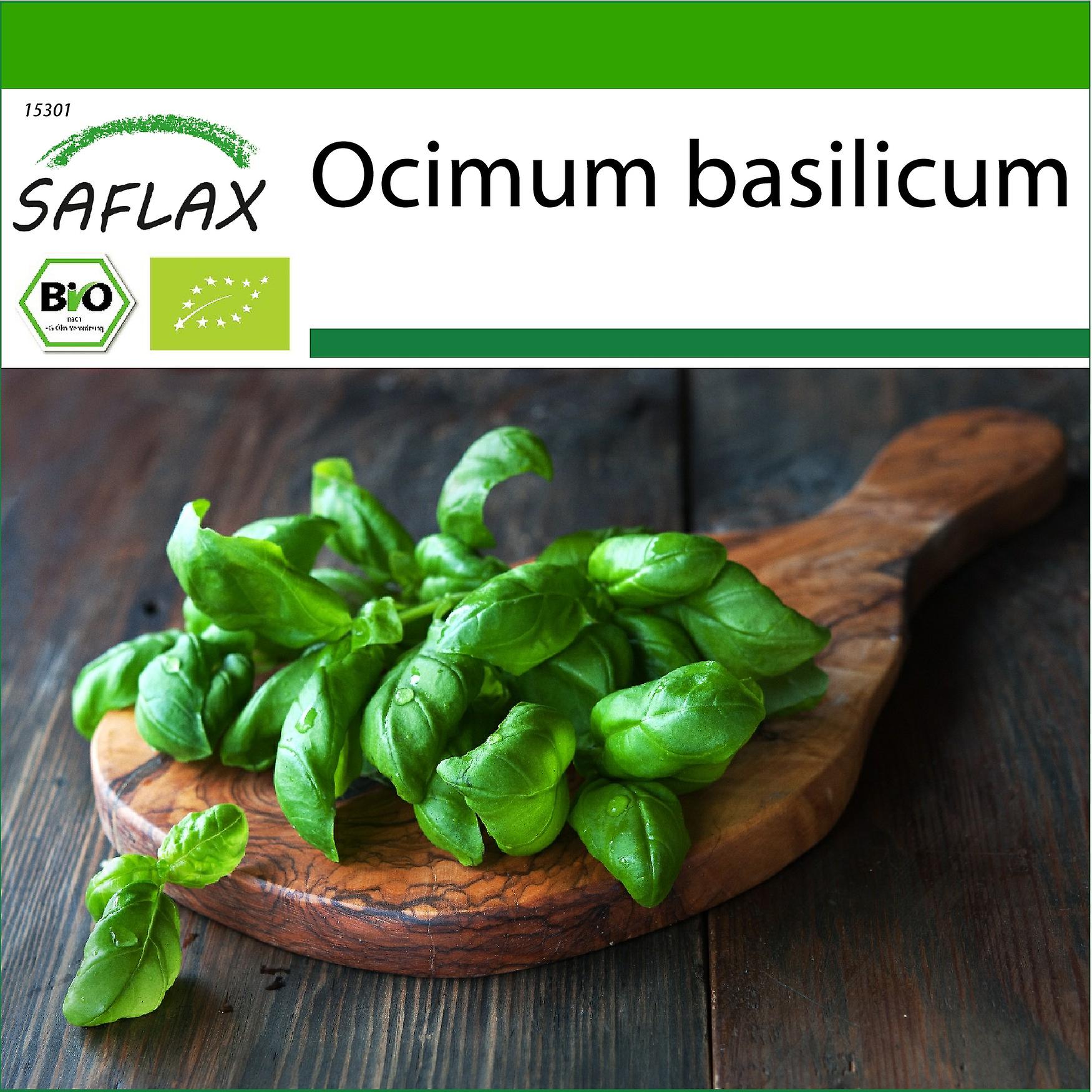 Saflax - 800 seeds - With soil - Organic - Basil Genovese - BIO ...