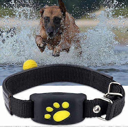 GPS Dog Activity Monitor med obegränsad räckvidd, Tracker Collar Pet ...