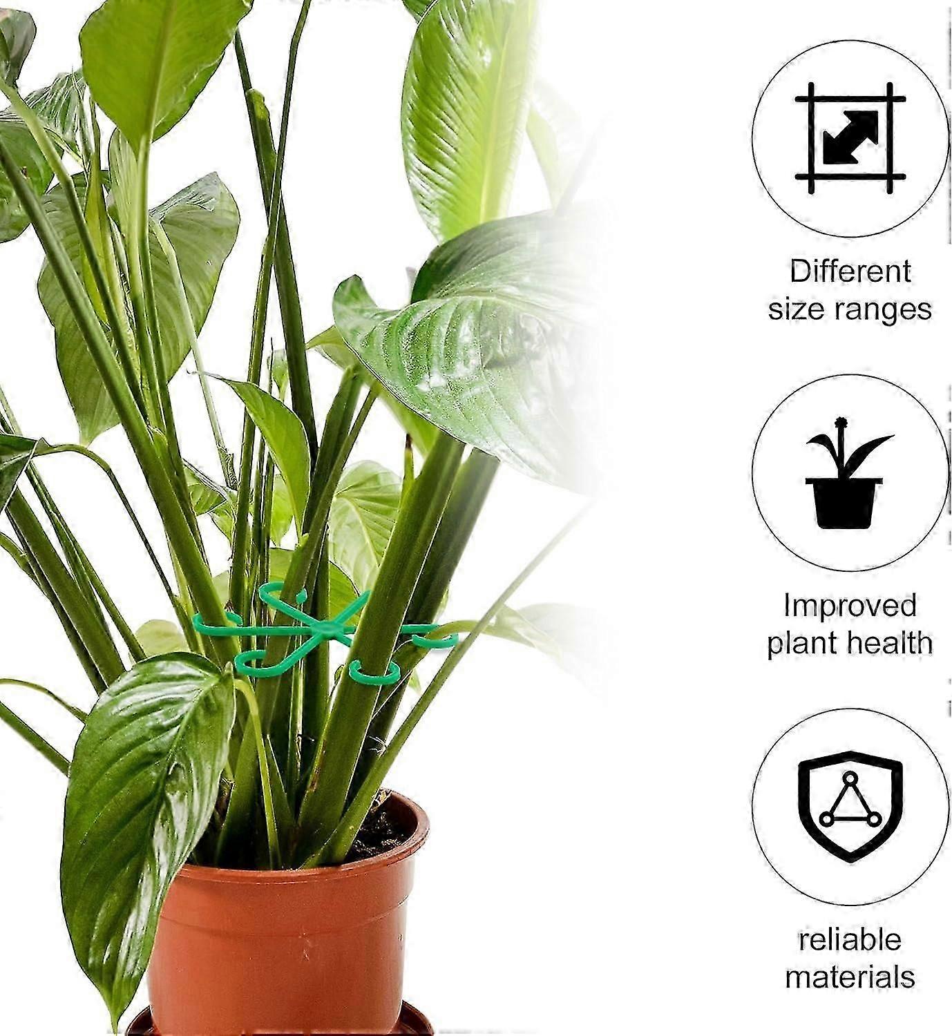 4pcs Climbing Houseplant Stem Supports, Plastic Plant Climbers Stem ...