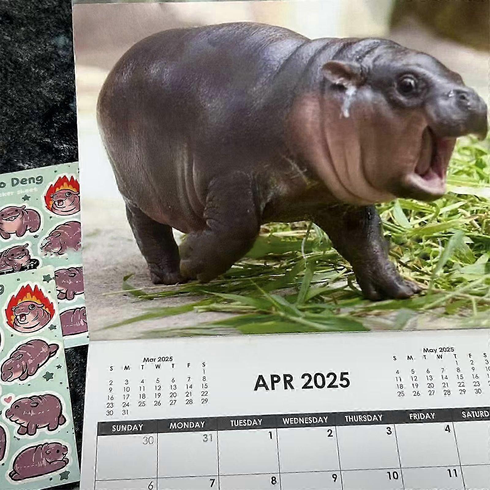 Moo Deng Calendar, 2025 Moo Deng Pygmy Hippo Hangable Wall Calendar for ...