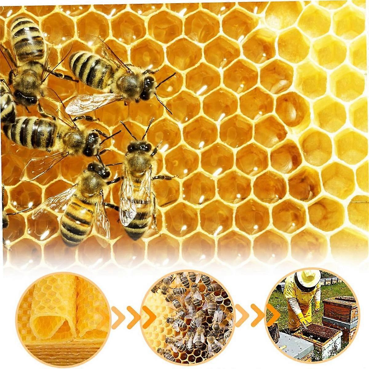 Beeswax Sheets 10Pcs Beeswax Foundation Sheets Wax Foundation for Bee ...