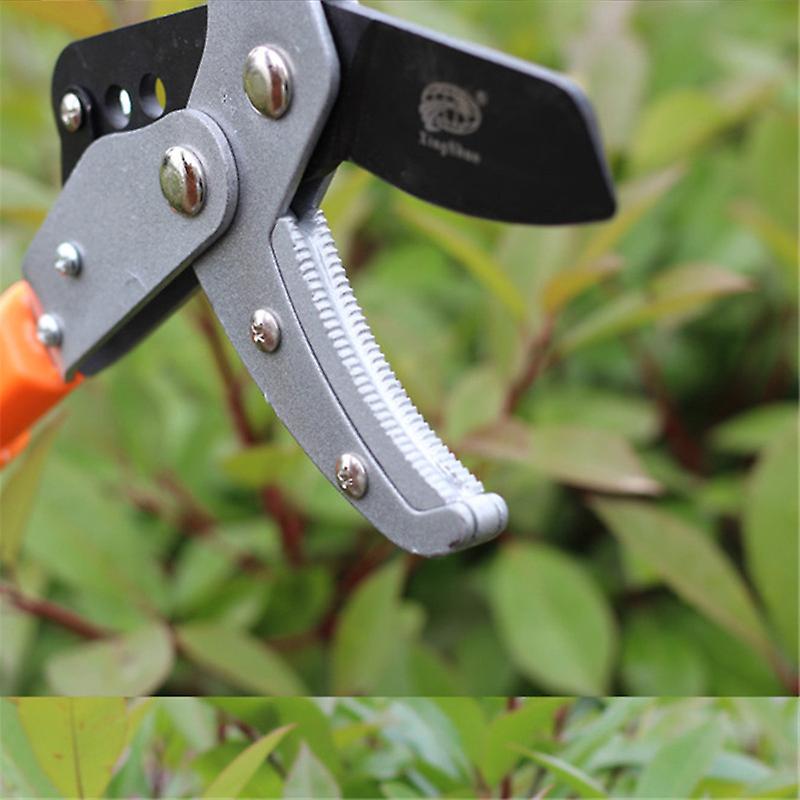 Robust Telescopic Branch Cutter - 67 to 100 cm - Extendable Garden ...