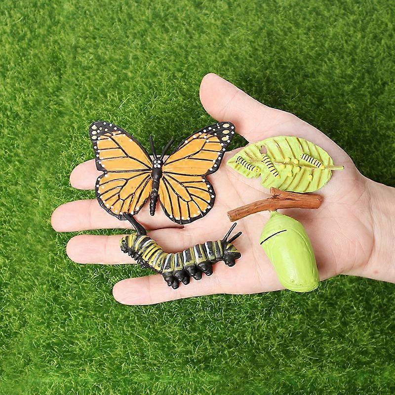 Simulation Life Cycle Figurine of a Monarch Butterfly Growth Cycle ...