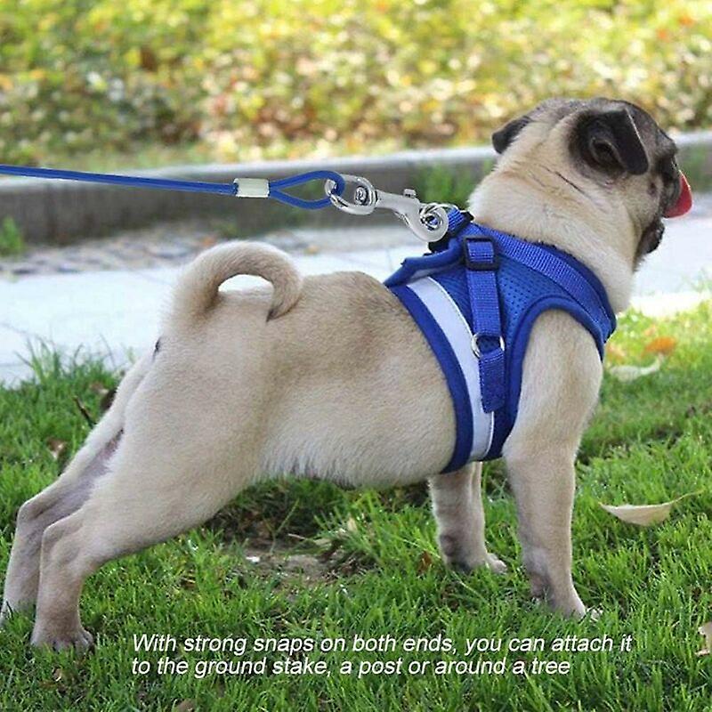 Leash Rope Heavy Duty Bite Resistant Long Steel Wire Pet Safety Cable ...