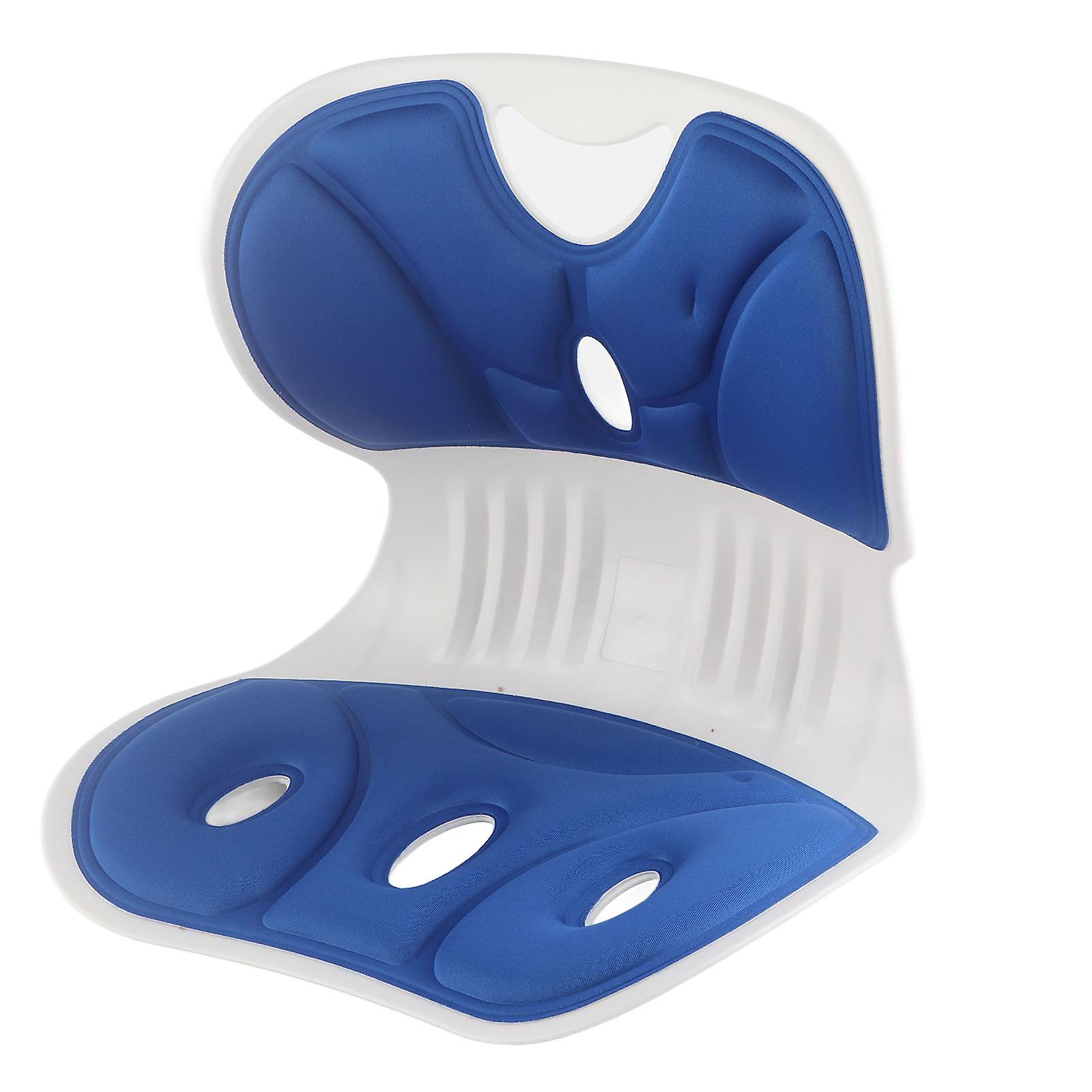 Blue Waist Back Support Cushion for Home Office, Lightweight and ...