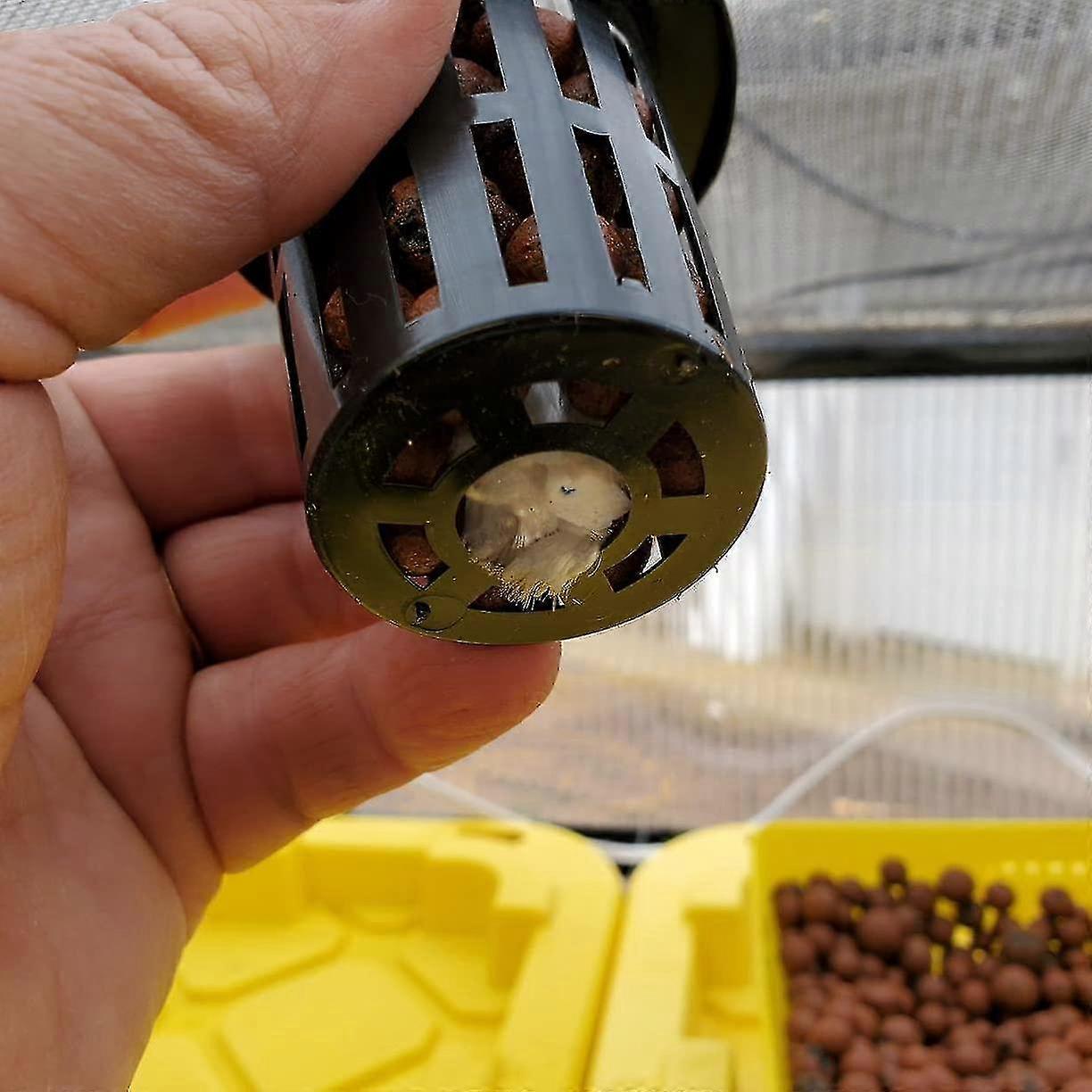 100 Pack 1.77 Inch Net Cups Slotted Mesh Wide Lip Filter Plant Net Pot ...