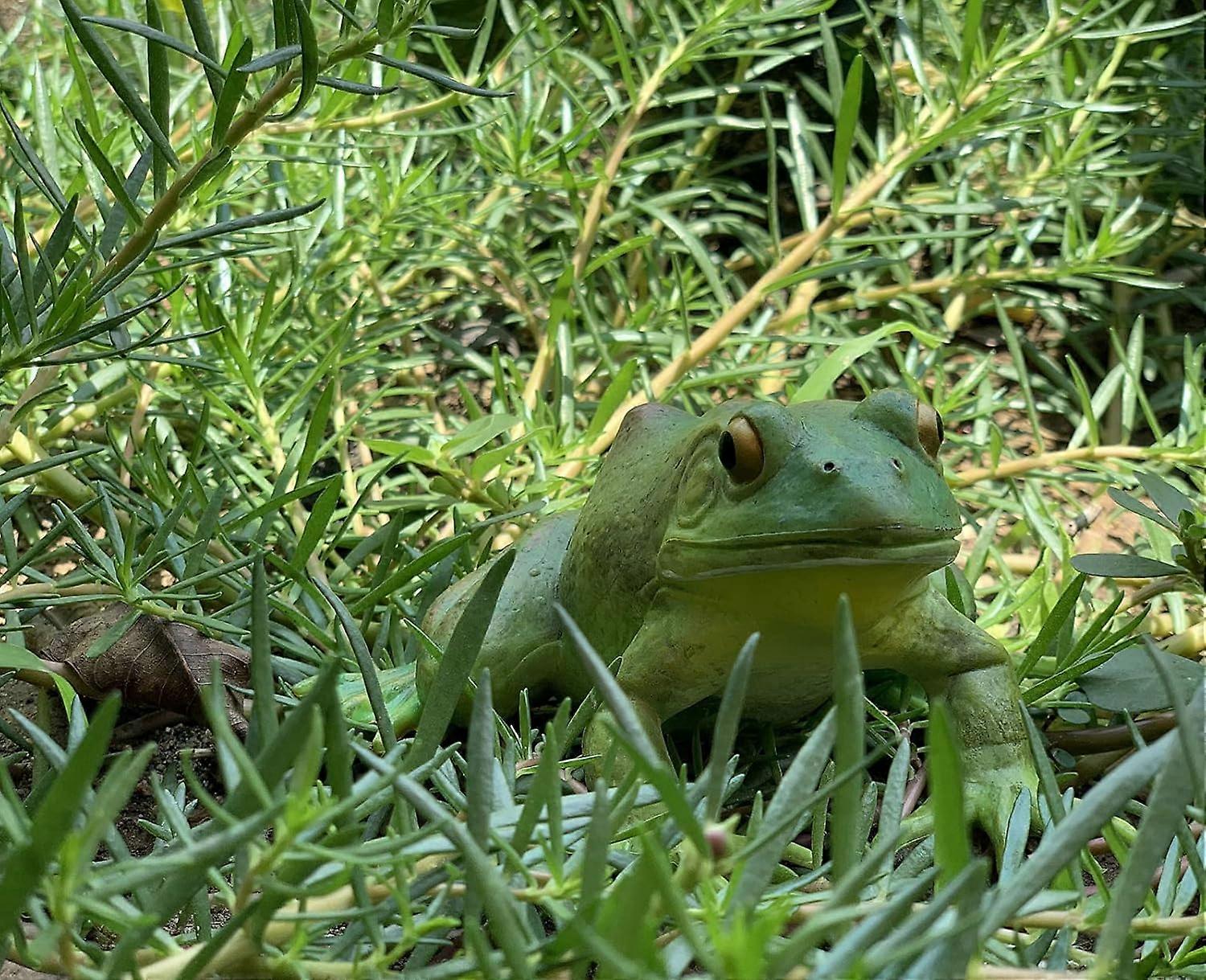 SBSG Gemini&Genius Tree Frog Realistic Hand Painted Toy Bullfrog ...