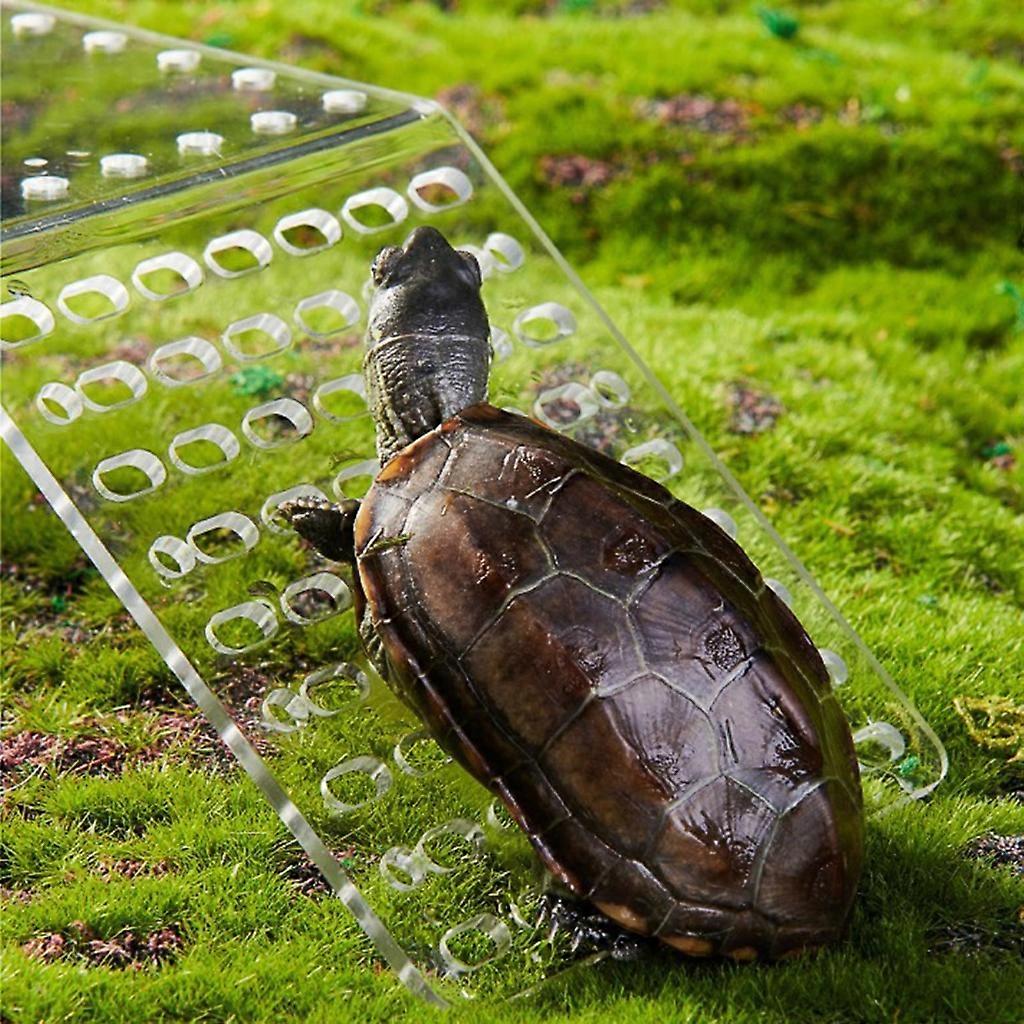 Reptiles Large Turtle Rest Platform with Ramp Ladder Basking Floating ...