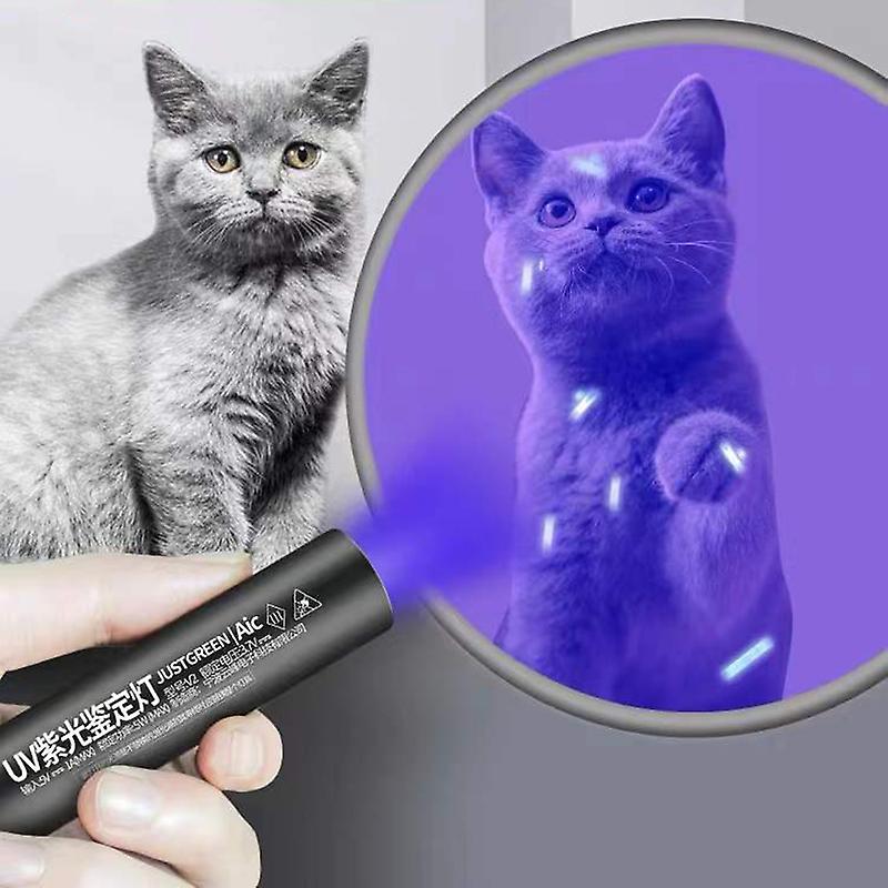 Dog And Cat Ringworm Detector UV Ringworm Lamp Pet 365nm Fungus Test ...