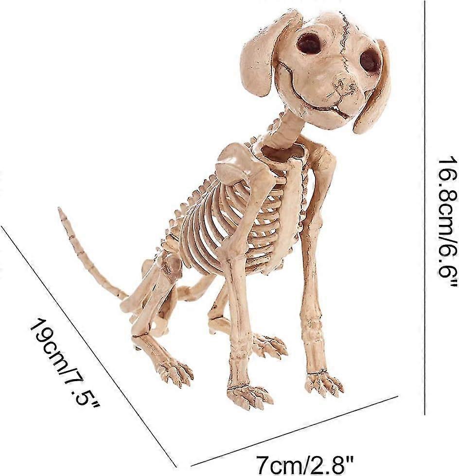 Halloween Decoration, Halloween Skeleton Puppy, Mini Poodle Dog ...
