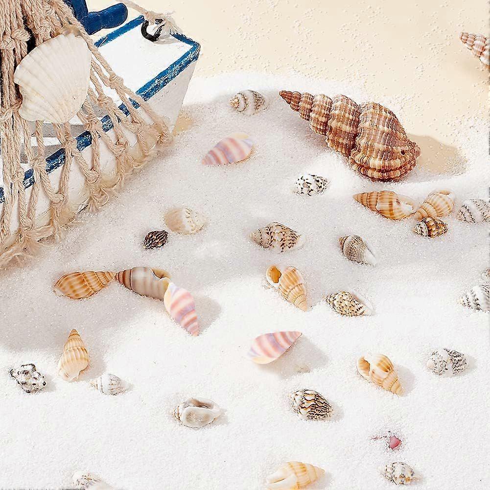260pcs Sea Shells 4 Styles Ocean Spiral Seashells Tiny Beach Conch ...