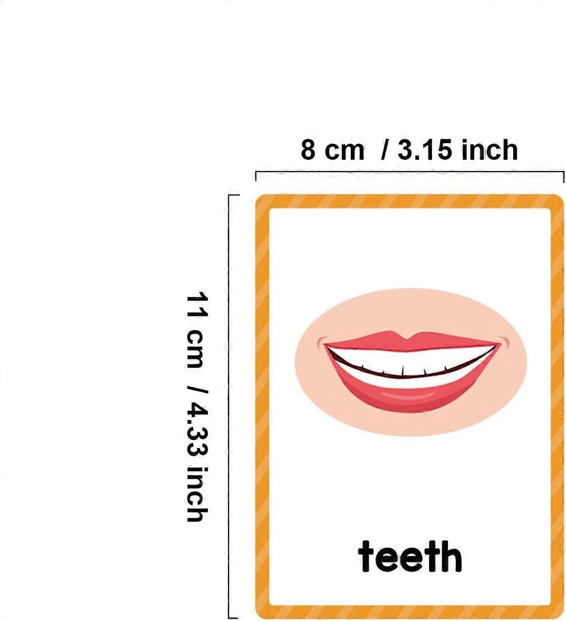 Body Parts Learning Flashcards English Pocket Card 15 Piece Body Parts Index Card Preschool ...