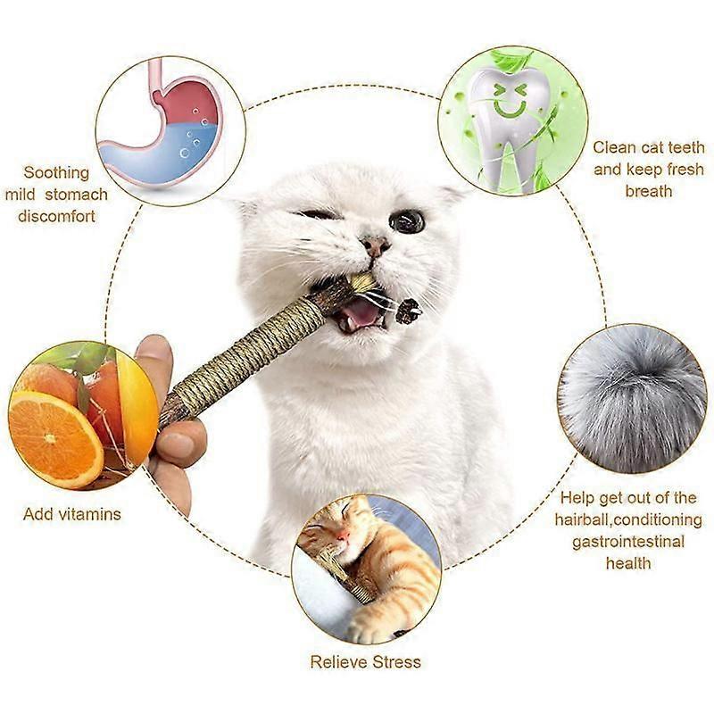Cat Toy Silvervine Chew Matatabi Stick Cats Treat Catnip Pet Toys For ...