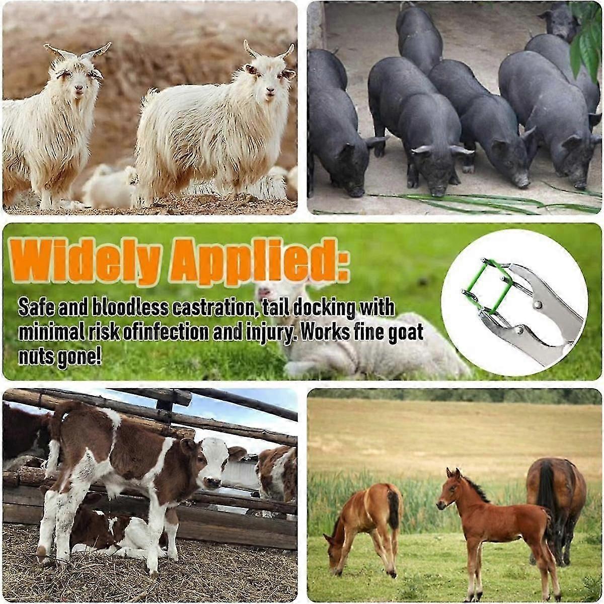 Goat Banding Kit, Banding Snap Clamps with 150 Pieces 2 Size Rings ...