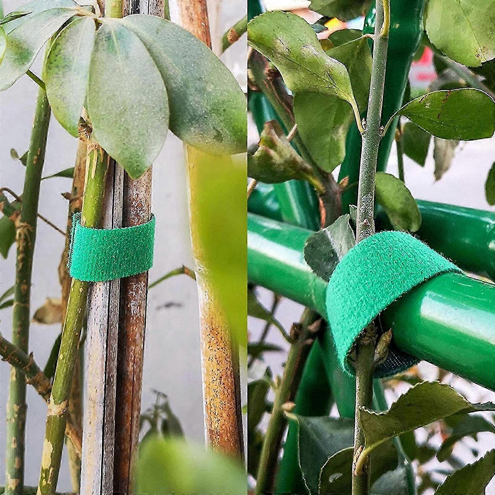 Plant Tape Plant Garden Ties Twist Ties for Plant Support Garden Plant ...