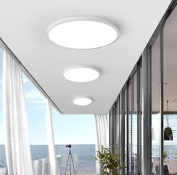 20CM 24w LED ceiling light, ceiling light, white kitchen ceiling light ...