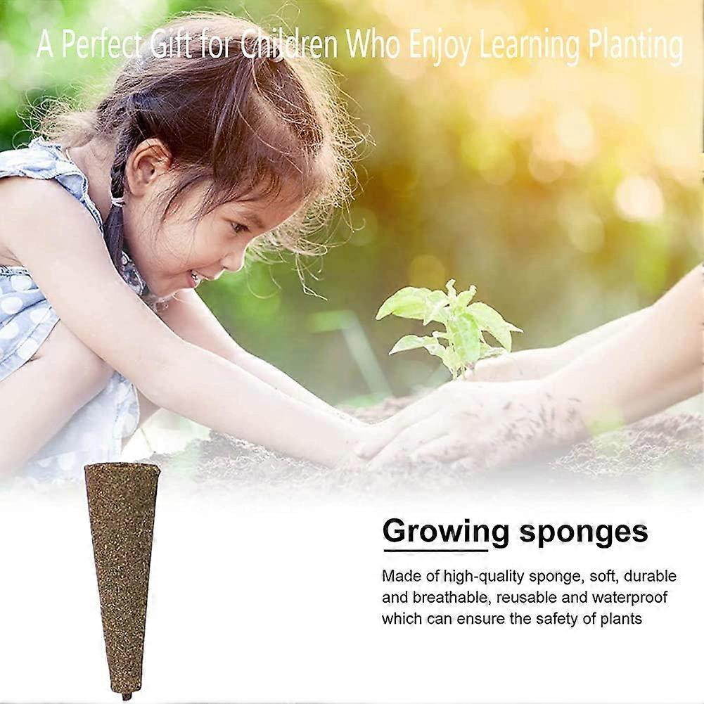Grow Sponges for Use with , -Friendly Plant Growing Plugs Sponges for ...