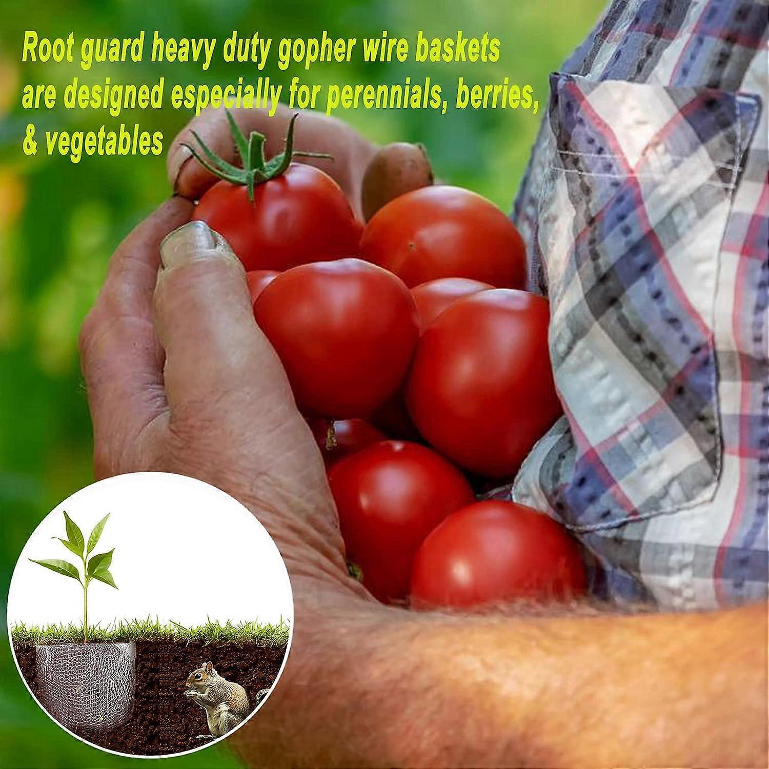 Plant Root Guard Baskets Stainless Steel Wire Baskets Protect Plant ...