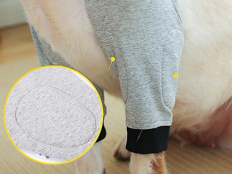 Hund främre benstöd Hund armbågsskydd Stödremmar för läker skyddar mot ...