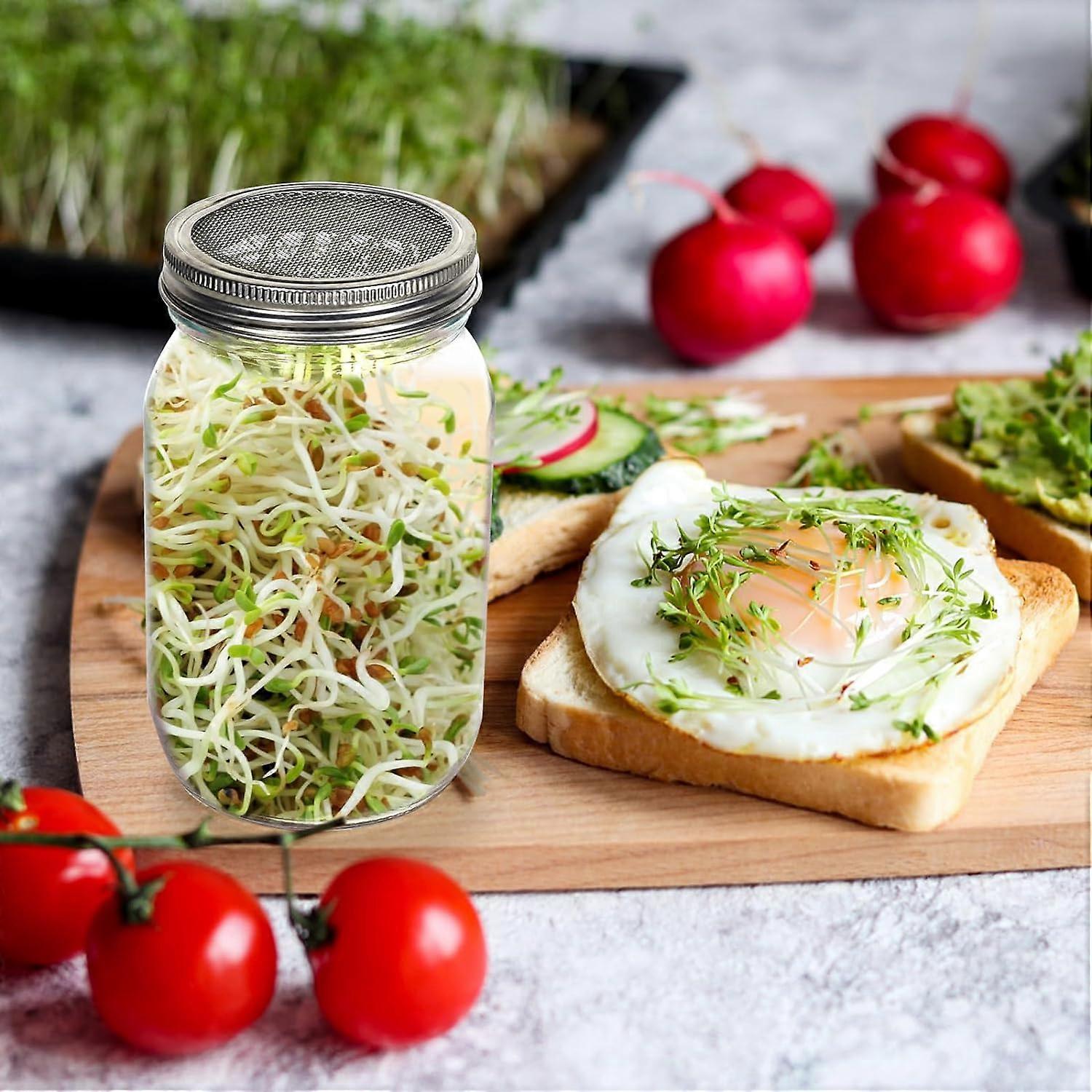 Sprout Jar, 2 x 1000ml Glass Sprout Jar Sprout Jar with 2 Stainless ...