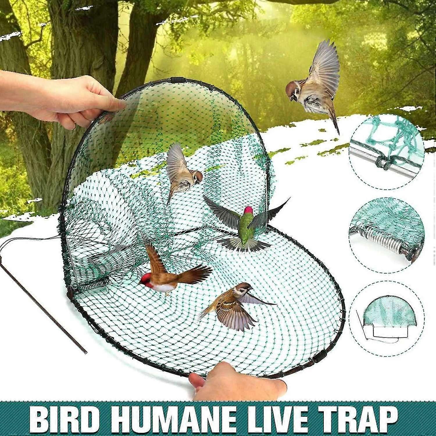 Humane Bird Trap Cage for Pigeons & Sparrows Easy Catching Solution ...