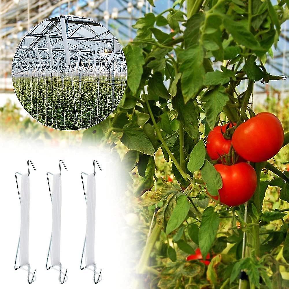 10 Pieces Tomato Holder Hooks Greenhouse Tomato Plant Holder With Wire ...