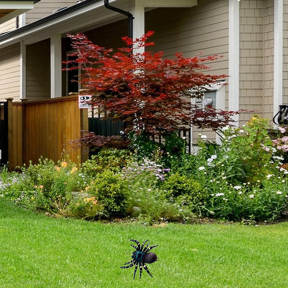 Giant Realistic Spider, Fake Spider, Spider Action Model Lifelike ...