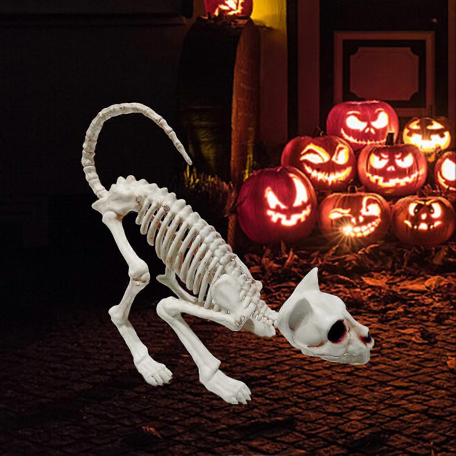 Great Skeleton Cat Statue Attractive Halloween Skeleton | Fruugo UK