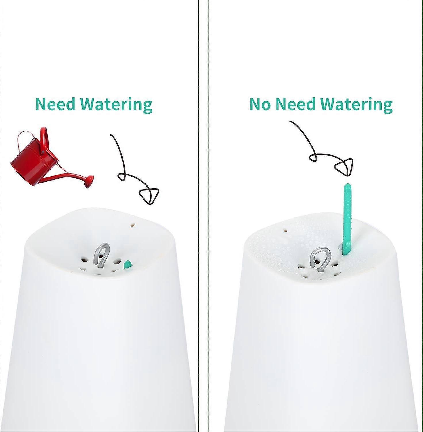 2025 New Upside Down Flower Pot, Sky Planter, Sky Hanging Watering ...