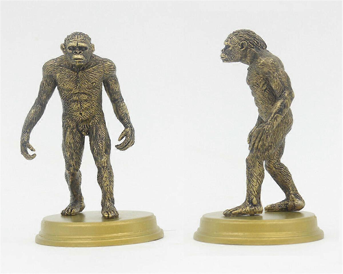 Ramapithecus Australopithecus Homo Habilis Homo Erectus Ape Man Figure ...