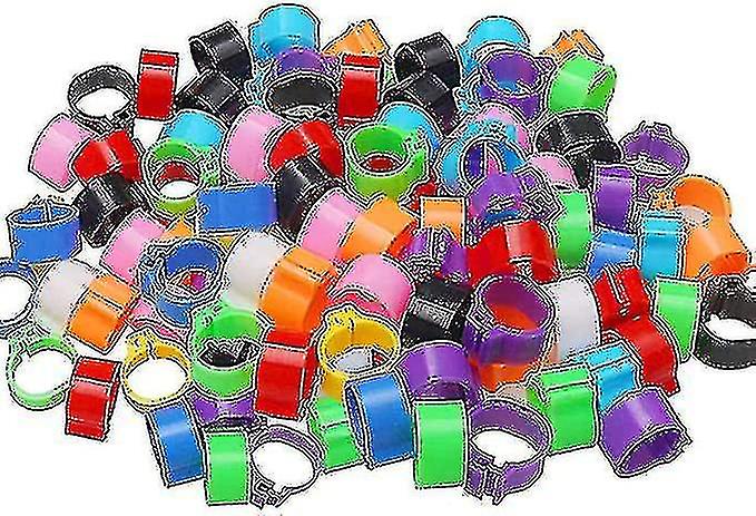 Hen Ring Leg Rings Identification 20mm Plastic Colored Chicken Bands ...