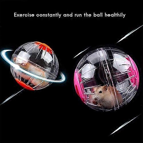 12cm Gym Ball for Hamsters and Mice Activity Toy for Small Animals ...