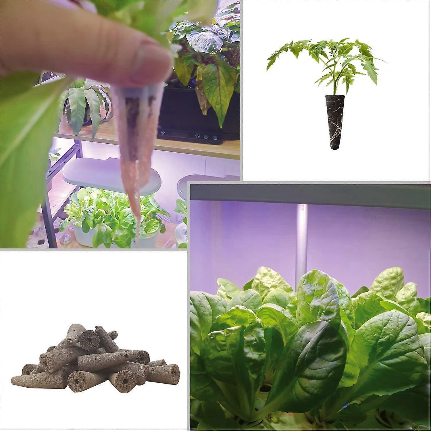 Grow Sponges for Use with AeroGarden, Eco-Friendly Plant Growing Plugs ...