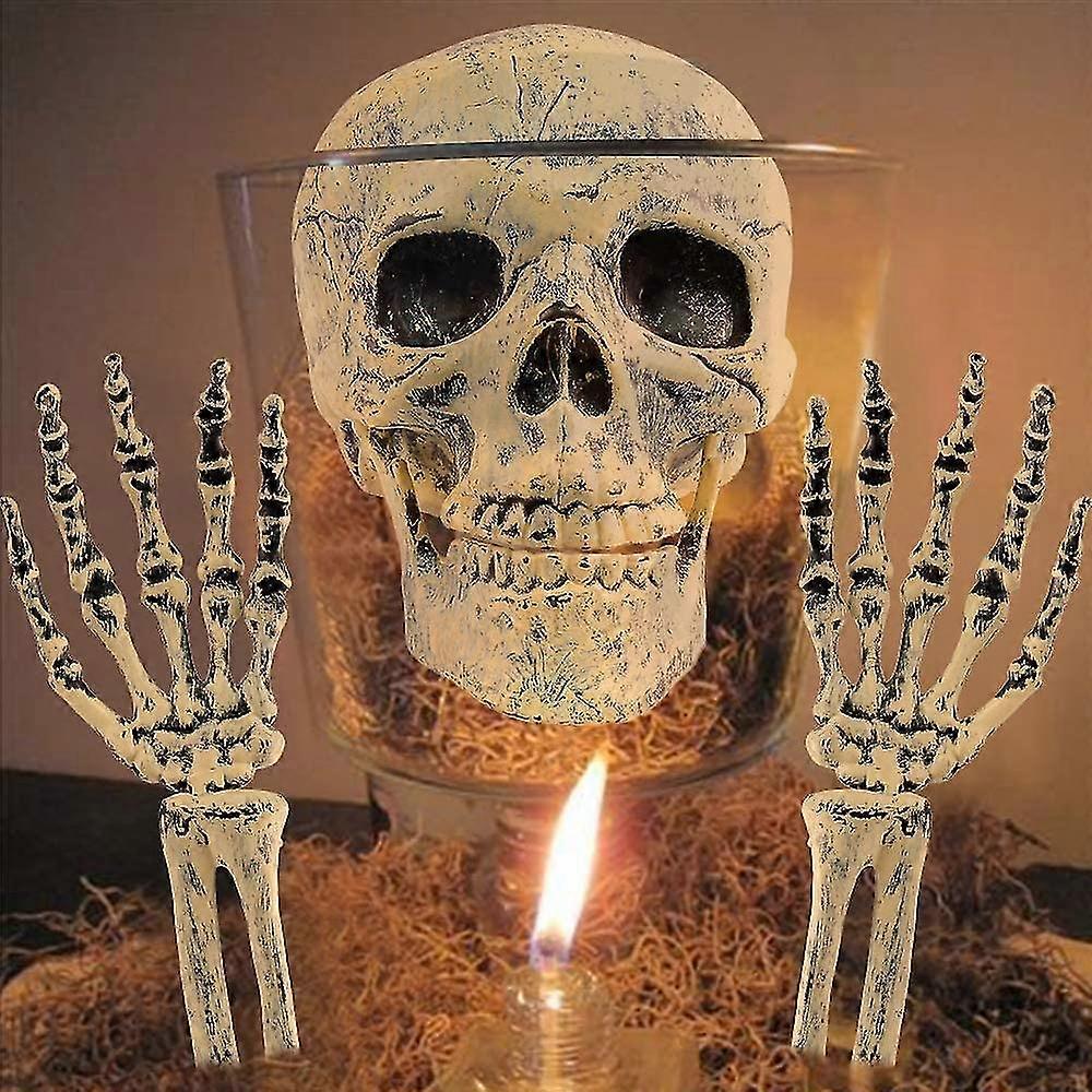 Realistic Skeleton Bones Skull Head And Hands Halloween Skeleton ...