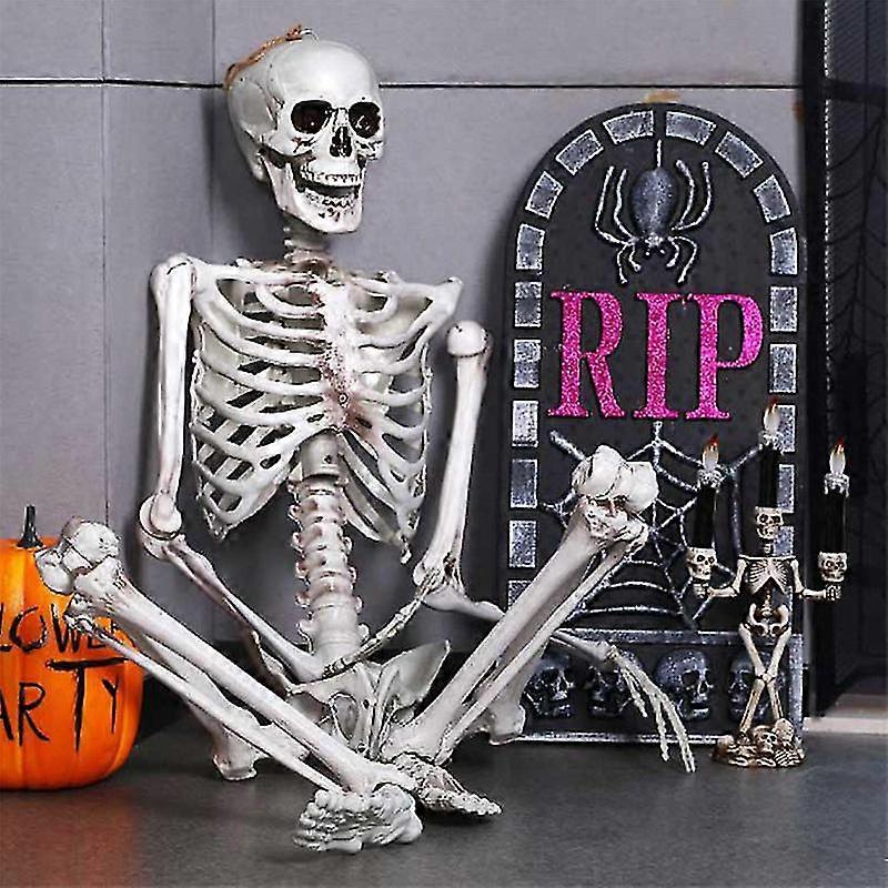 Halloween Skeleton, Realistic Life Size Skeleton Full Body Posable ...